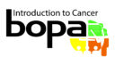 Home - BOPA | British Oncology Pharmacy Association